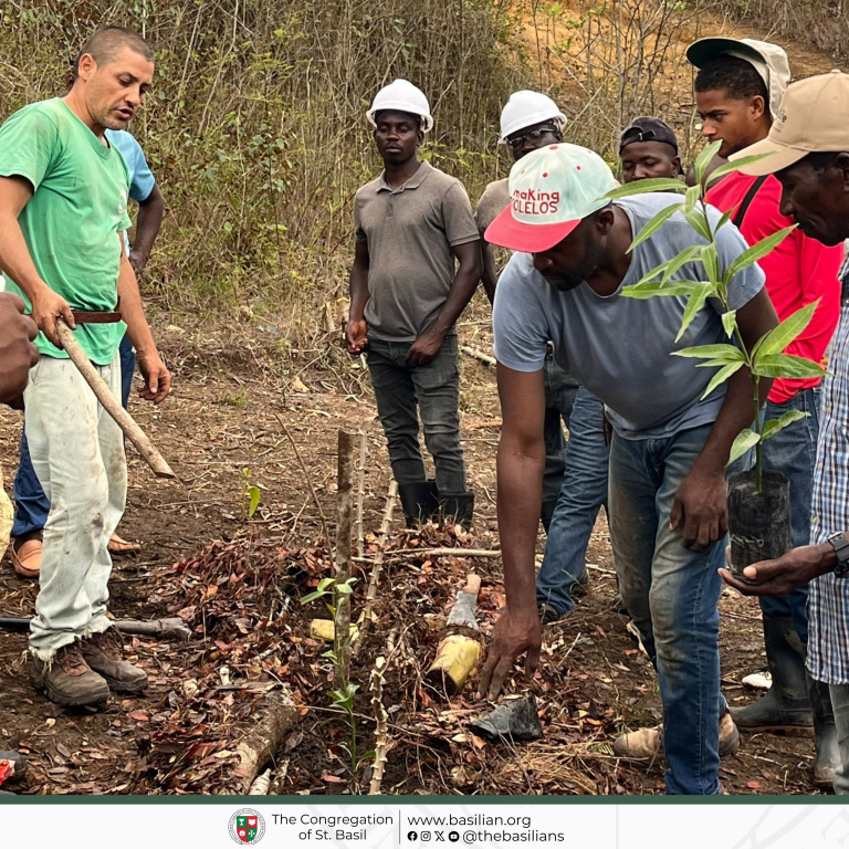 The Global Freedom Project: Imitating the Forest to Transform Haitian ...
